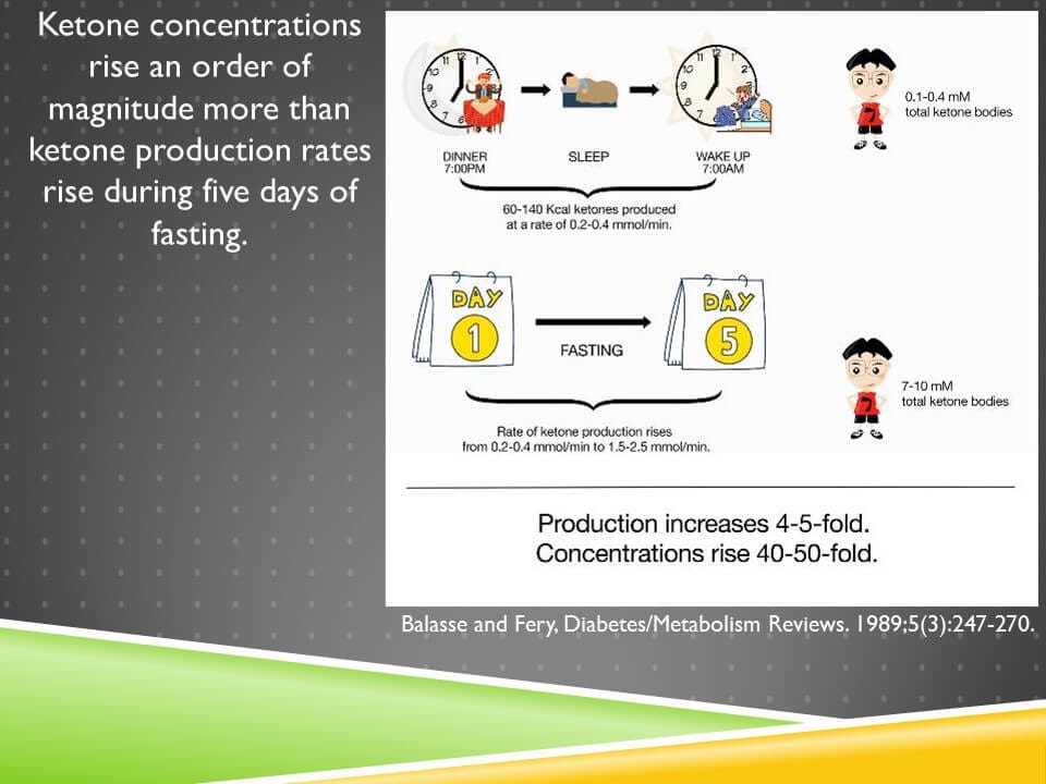 35. Ketone Homeostasis During Fasting