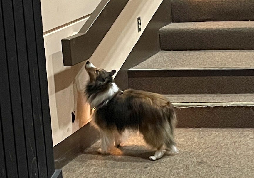 Welcome to Sniffing Bits - by Donna Golemon - Sniffing Bits