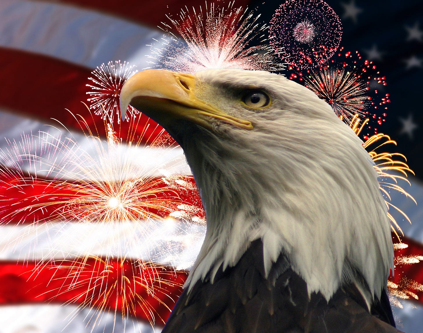 Be the Signal - by Tim Miller - The Bulwark