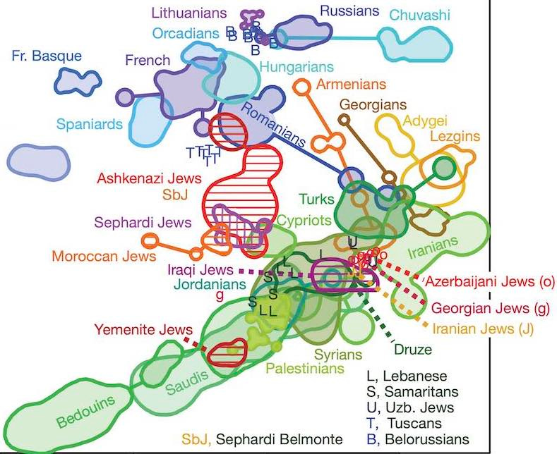 Ashkenazi Jewish genetics: a match made in the Mediterranean