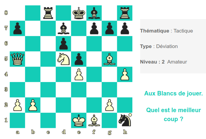 Welcome to The Chess Circuit! - by Adam Raoof