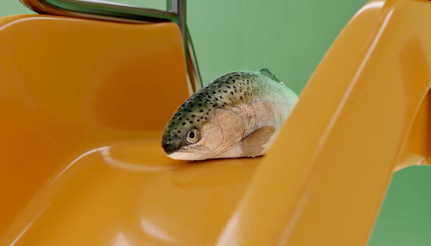 The Power of the Unexpected Visual