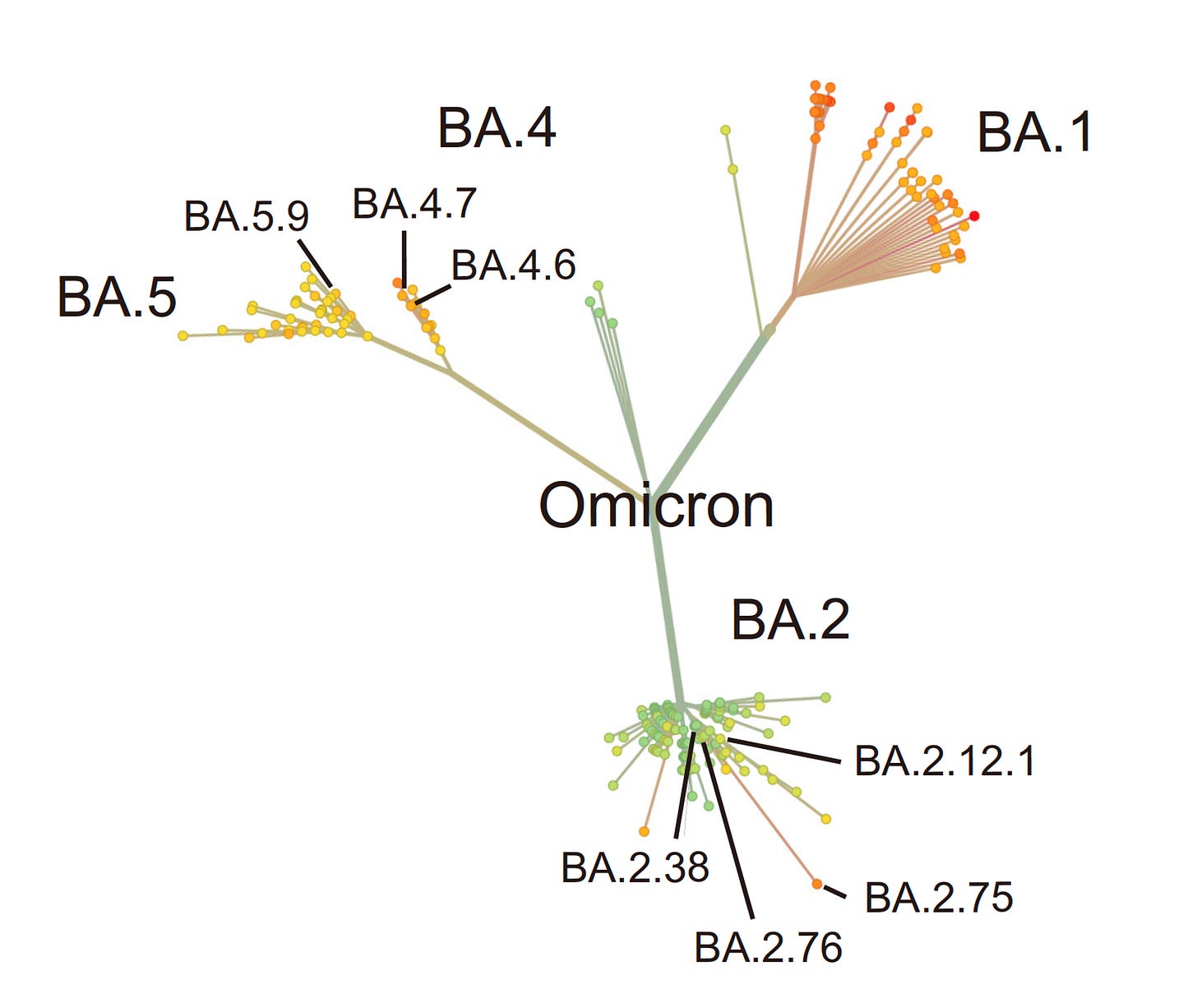 The imminent BA.5 vaccine booster - by Eric Topol
