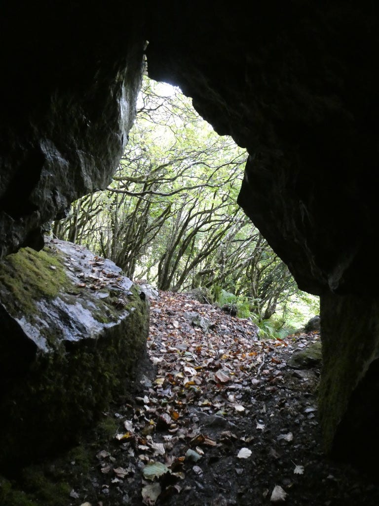 The View from the Cave - by Paul Kingsnorth