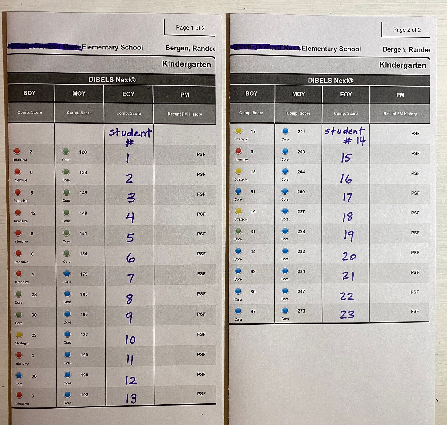 Video: 100% At/Above Level on Middle-of-the-Year DIBELS testing