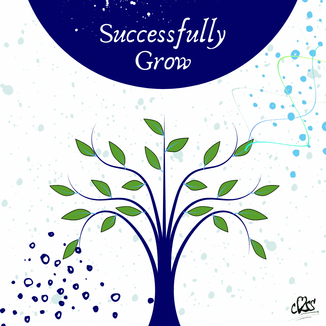 What System Do I Need For Constant Self-Development And Successfully Grow