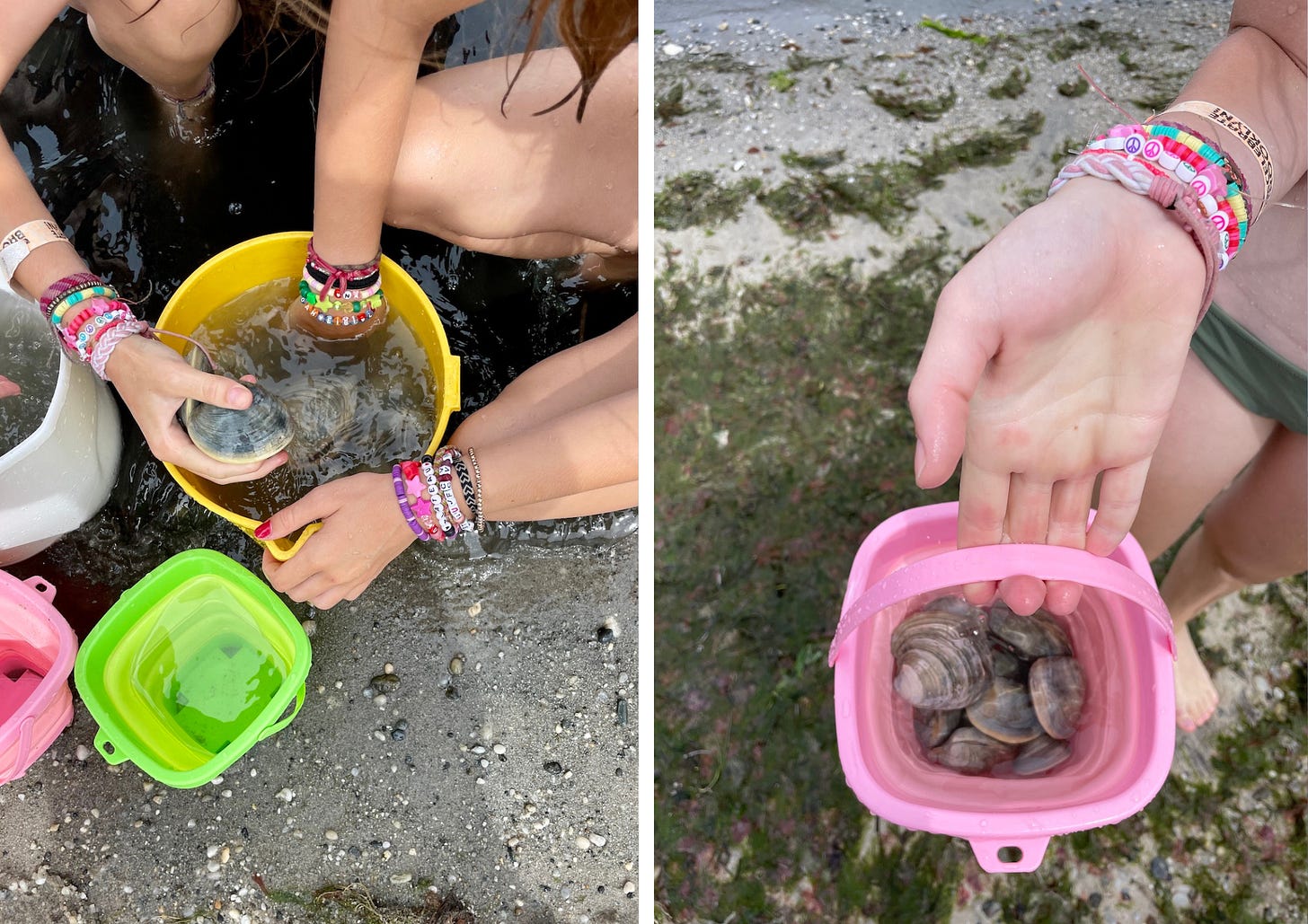 Fire Island Clam Chowder - by Susan Spungen - Susanality