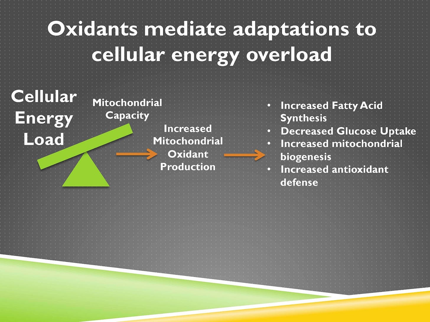 1. Physiological Roles of Oxidants
