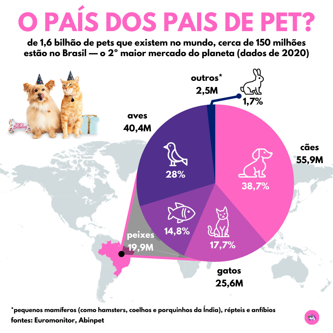 Os pais e mães de pet estão dominando o Brasil? 🐾 – the news