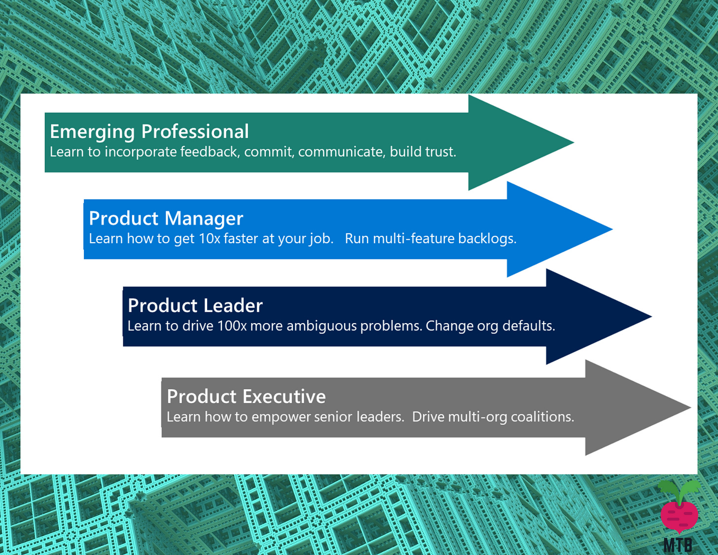 🔦 How You Can Find Learning Opportunities Everywhere