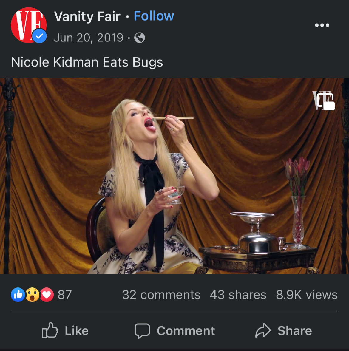 171. 7/12/22. Zoo Vill Eat Zee Bugs, and Zoo Vill be Happy (4:13)