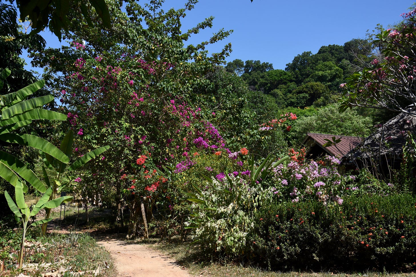 Ko Bulon: Low-level tourism meets graceful island life