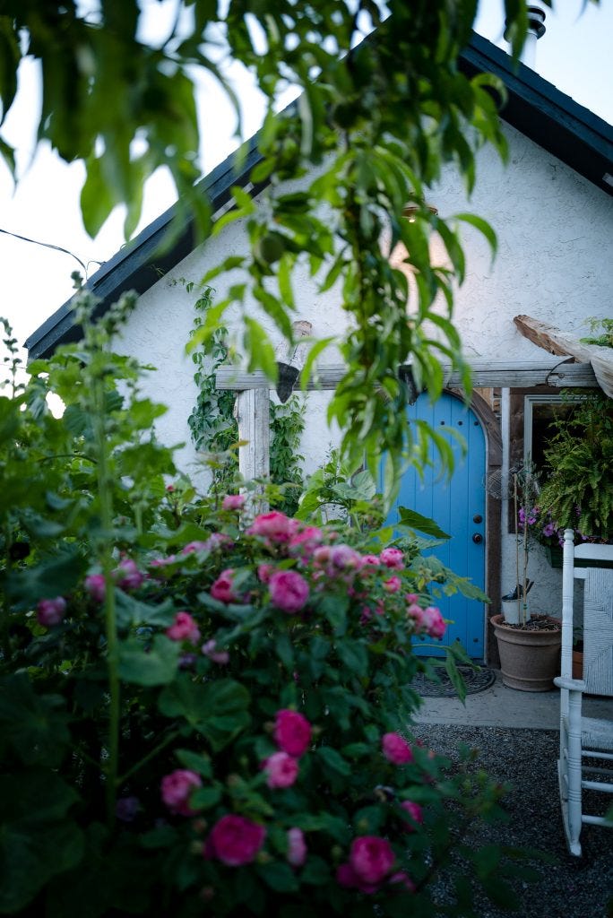 The Elliott Homestead Newsletter | Shaye Elliott | Substack