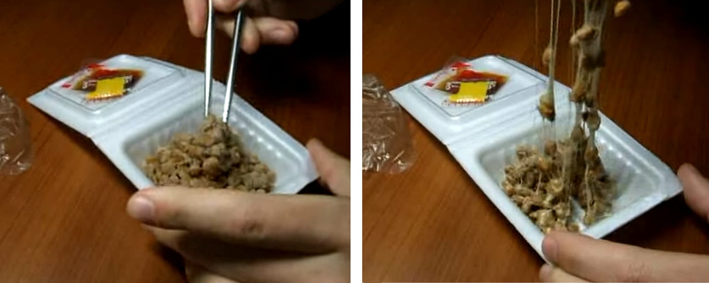 Natto: King of Fermented Foods - by Stephen Skolnick