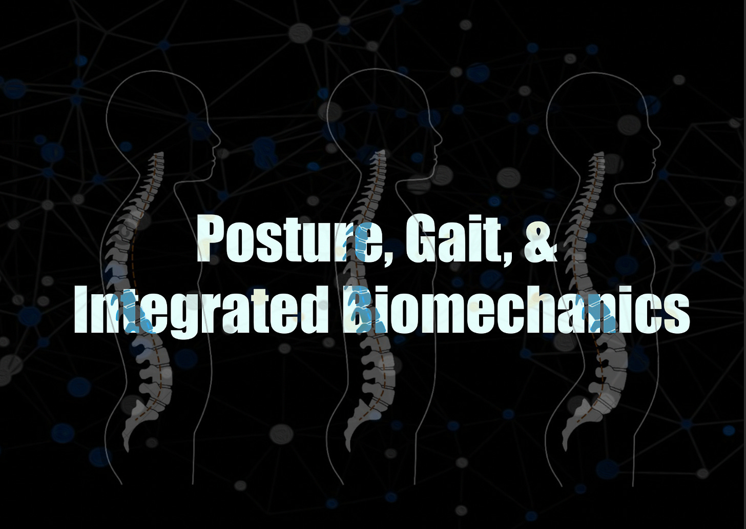 Posture, Gait, & Integrated Biomechanics