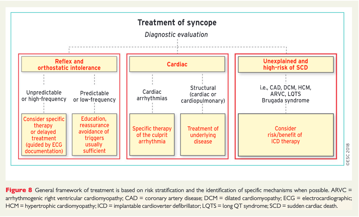 The Treatment of POTS - by Dr Margaret Aranda