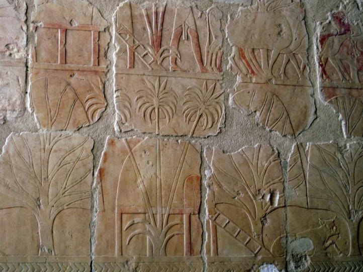 Demystifying the land of Punt and locating ancient Egypt's place in ...