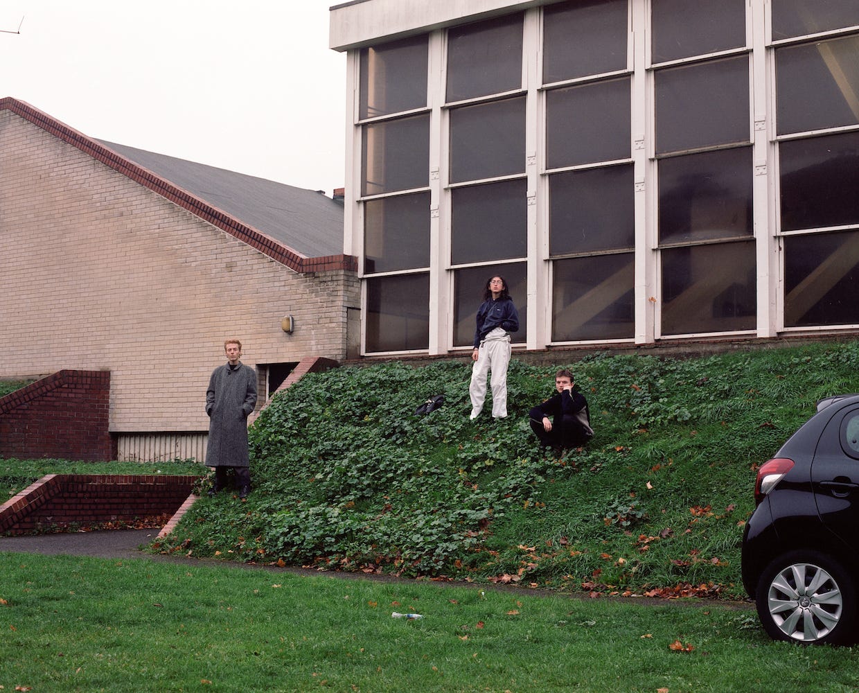 Tone Glow 024: Still House Plants - Tone Glow
