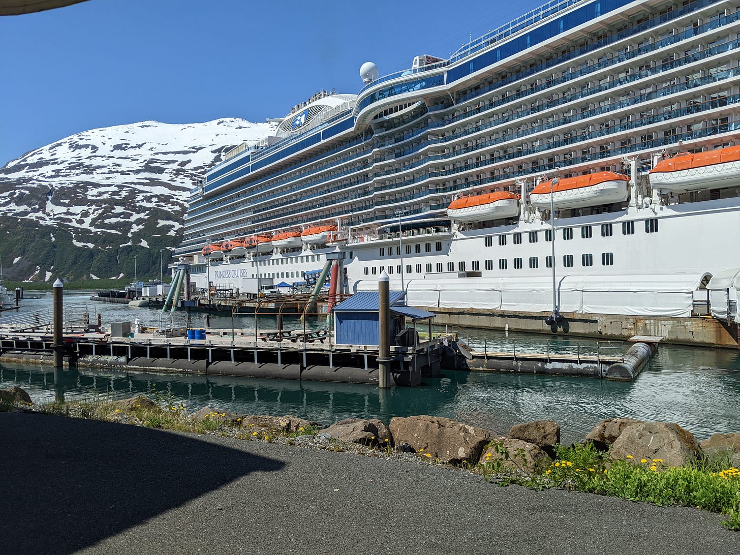 Princess Cruisetour Review 2022 - by Trips with Angie