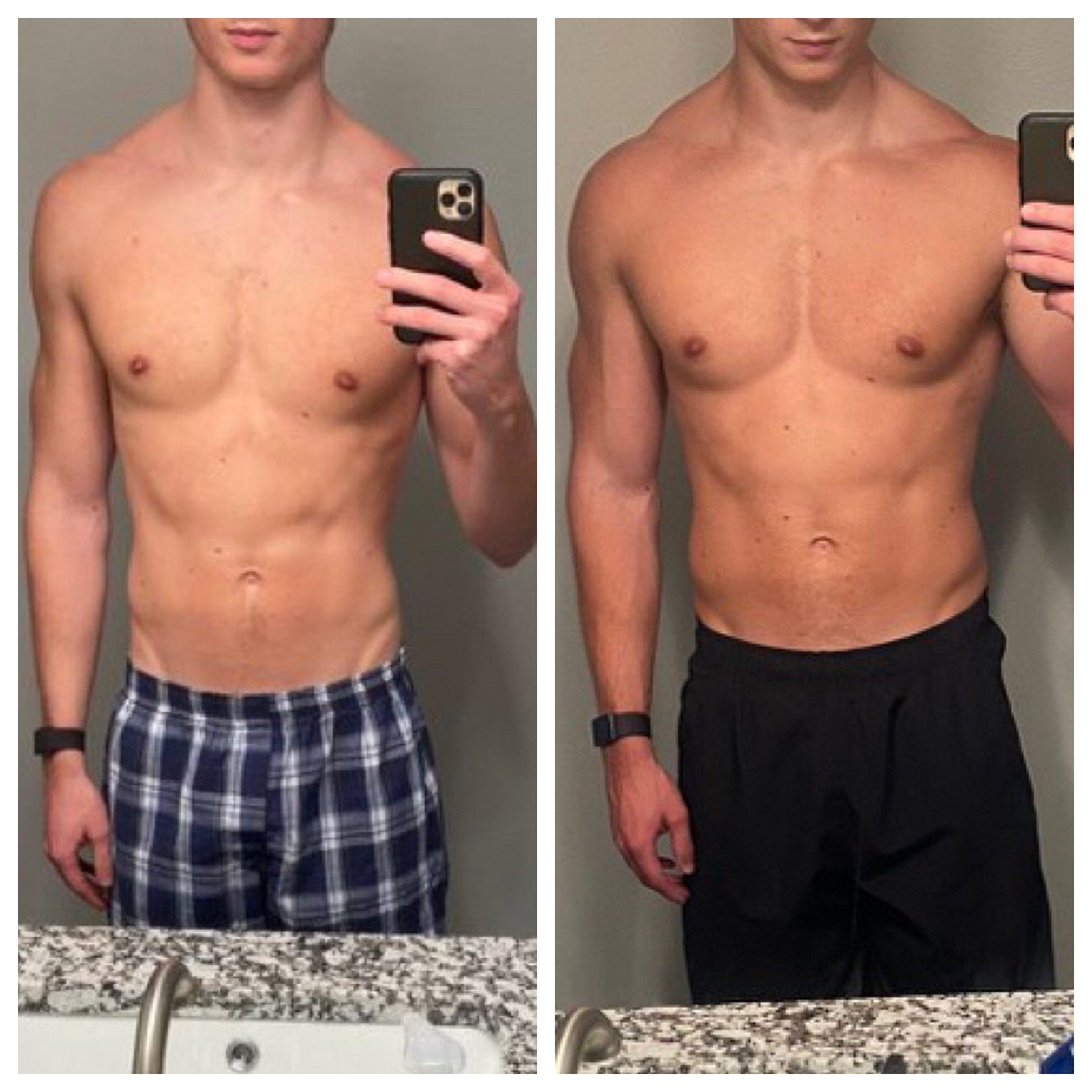 12 Week Push Pull Legs Program Preview - by BowTiedOx