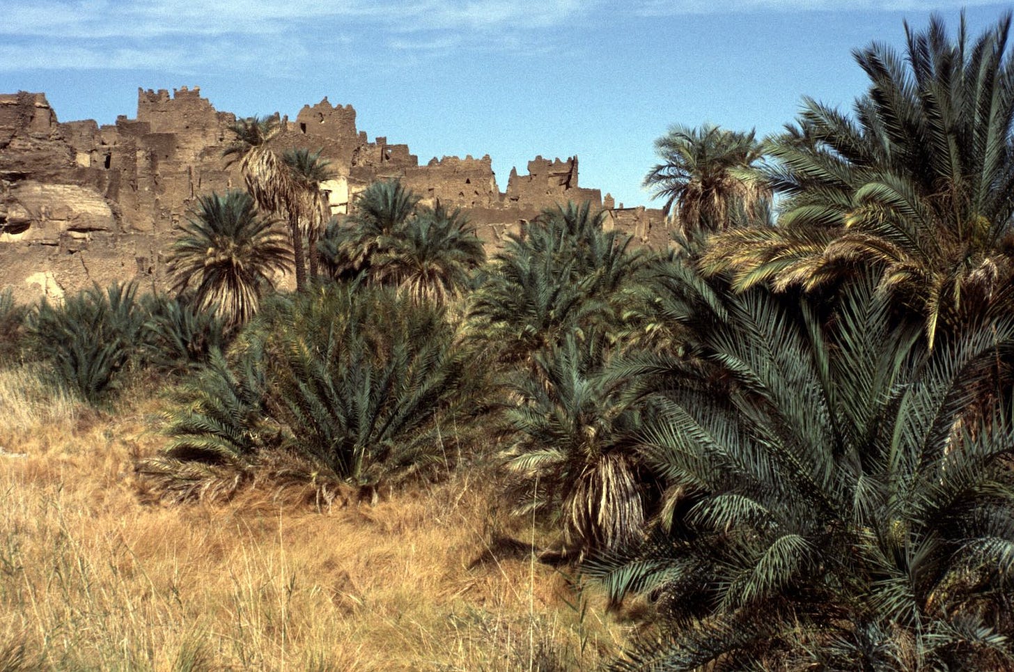 An African civilization in the heart of the Sahara: the Kawar oasis ...