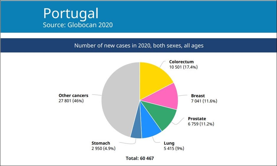 Cancer Treatment in Portugal - by Carol A. Wilcox