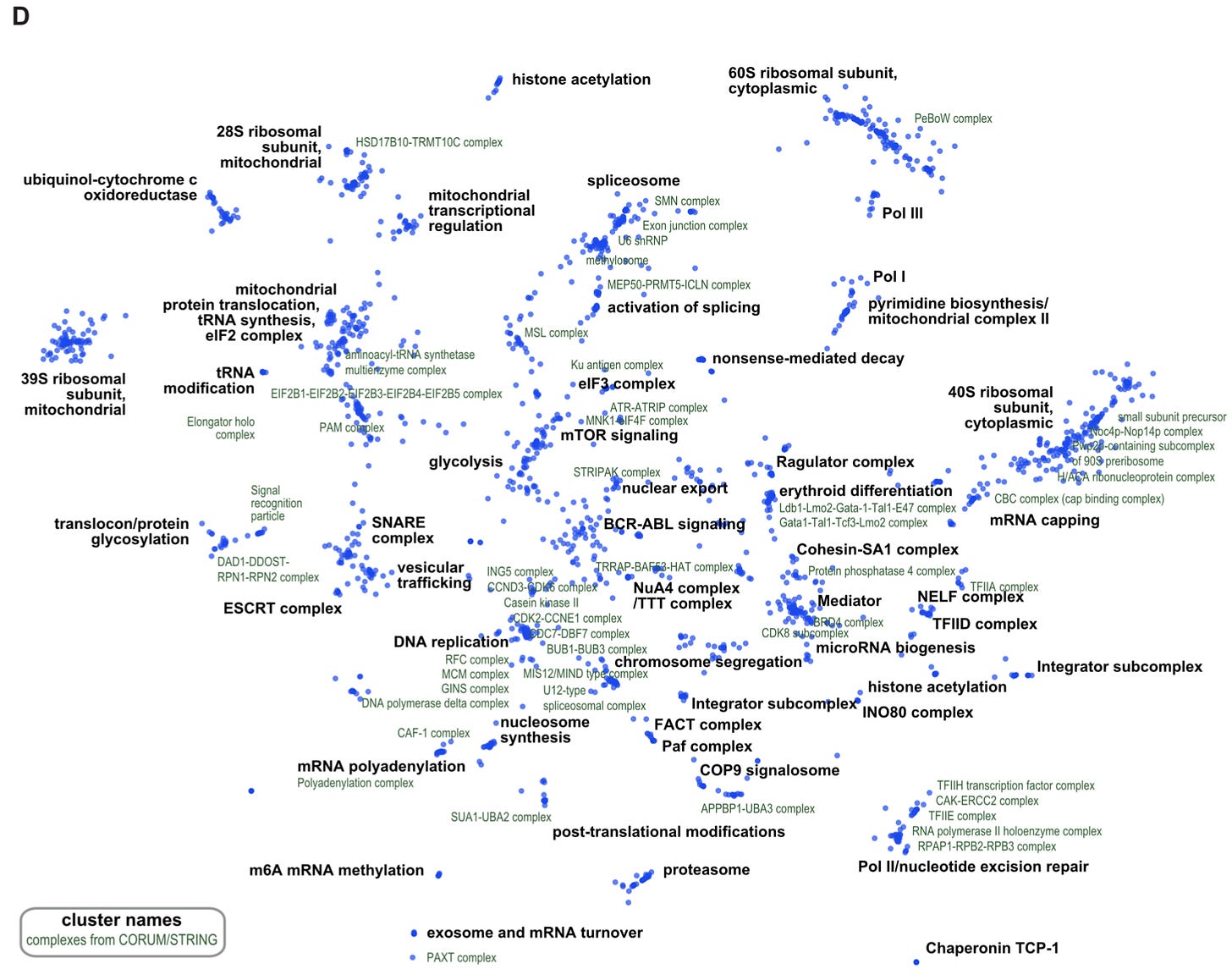Genotype-phenotype maps - by Elliot Hershberg