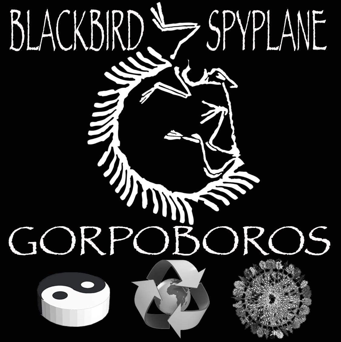 Are you wearing CURSED GORP?? - Blackbird Spyplane