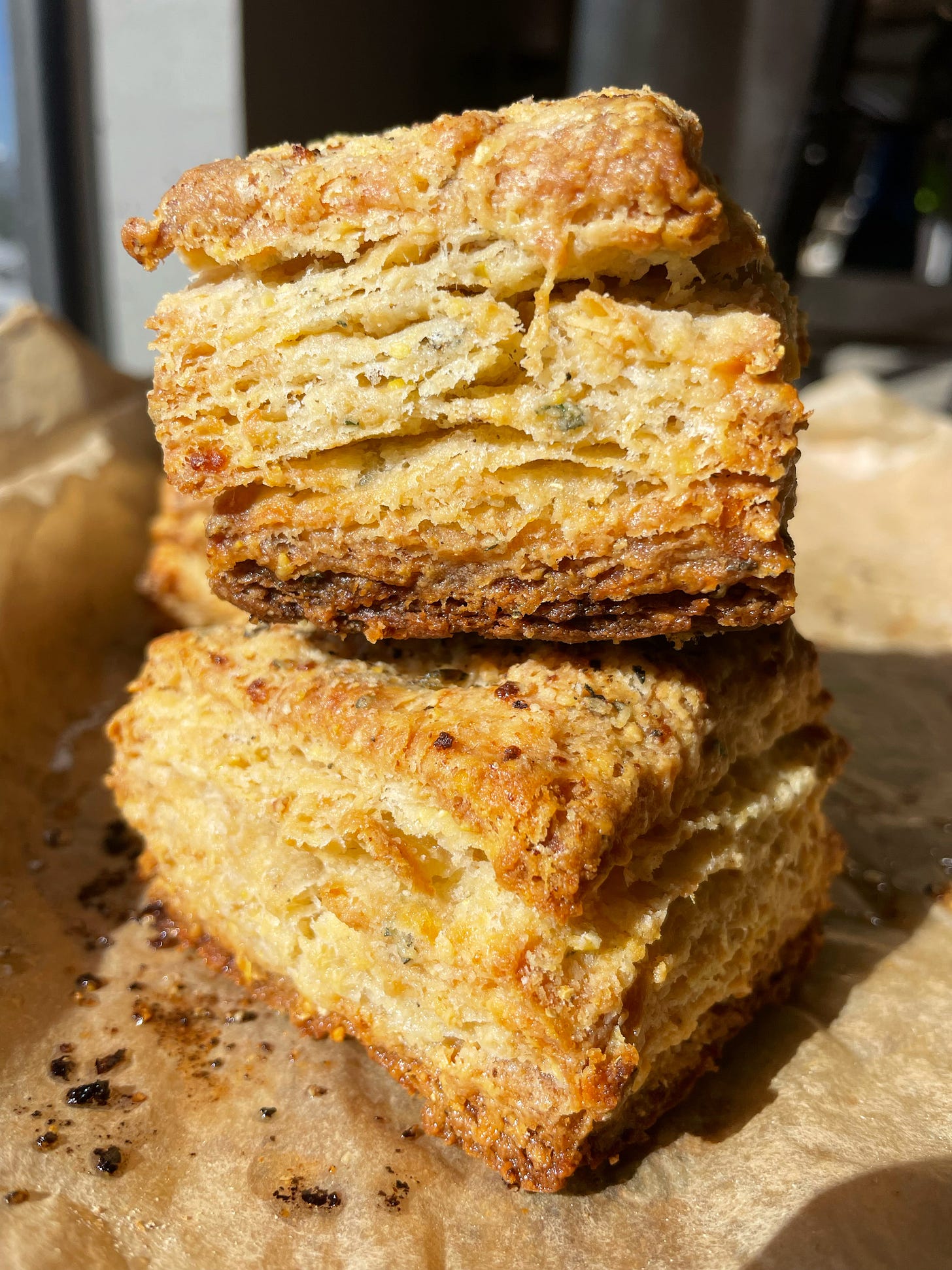 this shit rocks no. 45: on shampoo, 'shrooms, and salty crackers