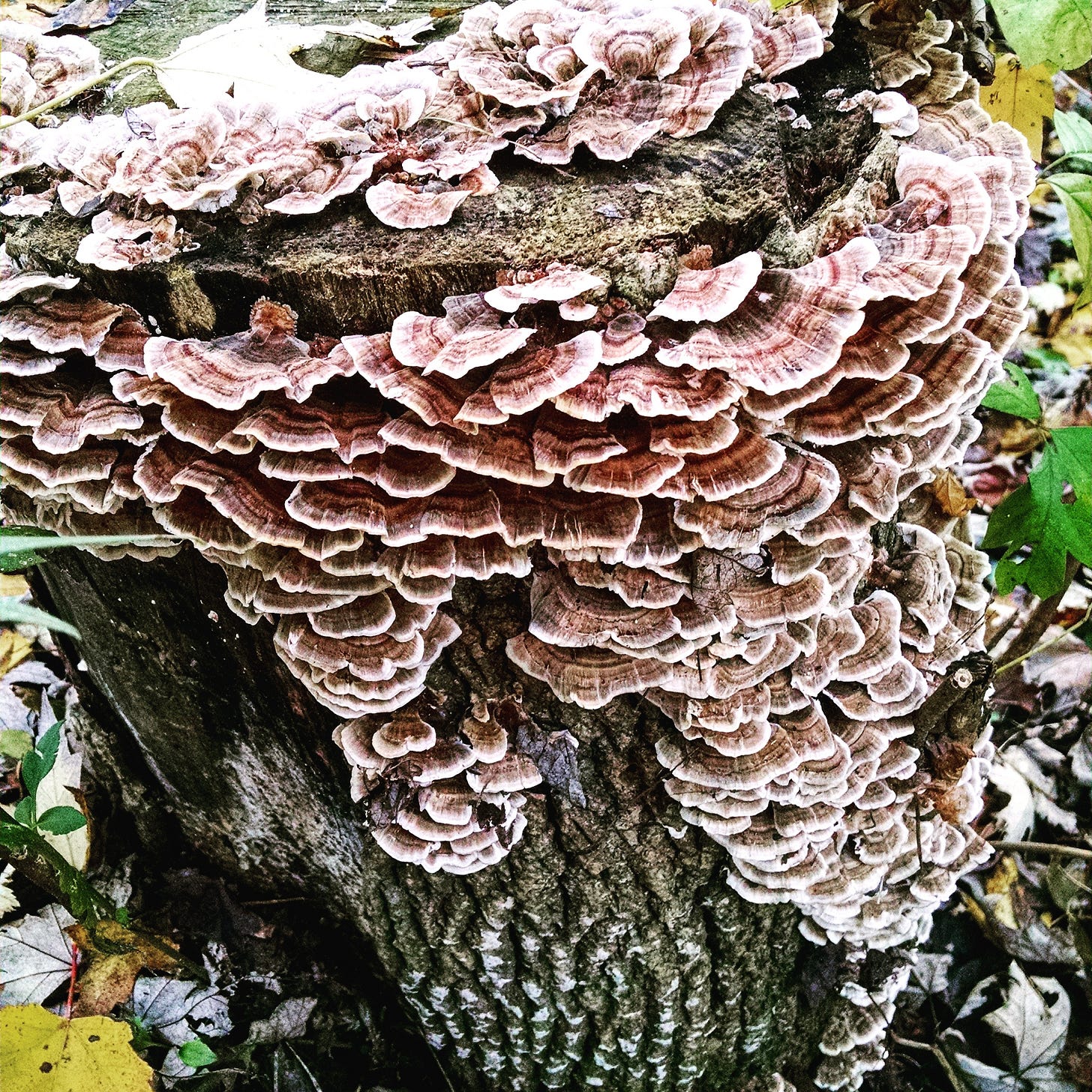 The Most Boring Place On Earth - by Bev Potter