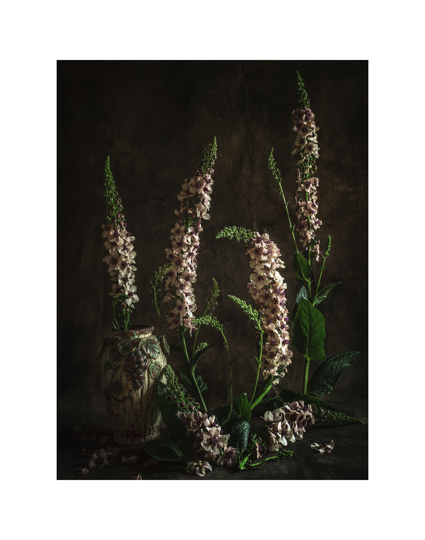 The Elliott Homestead Newsletter | Shaye Elliott | Substack