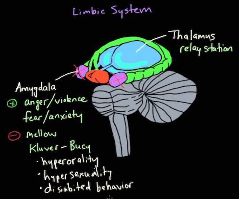 Borderline Personality Disorder - by Robert Hill