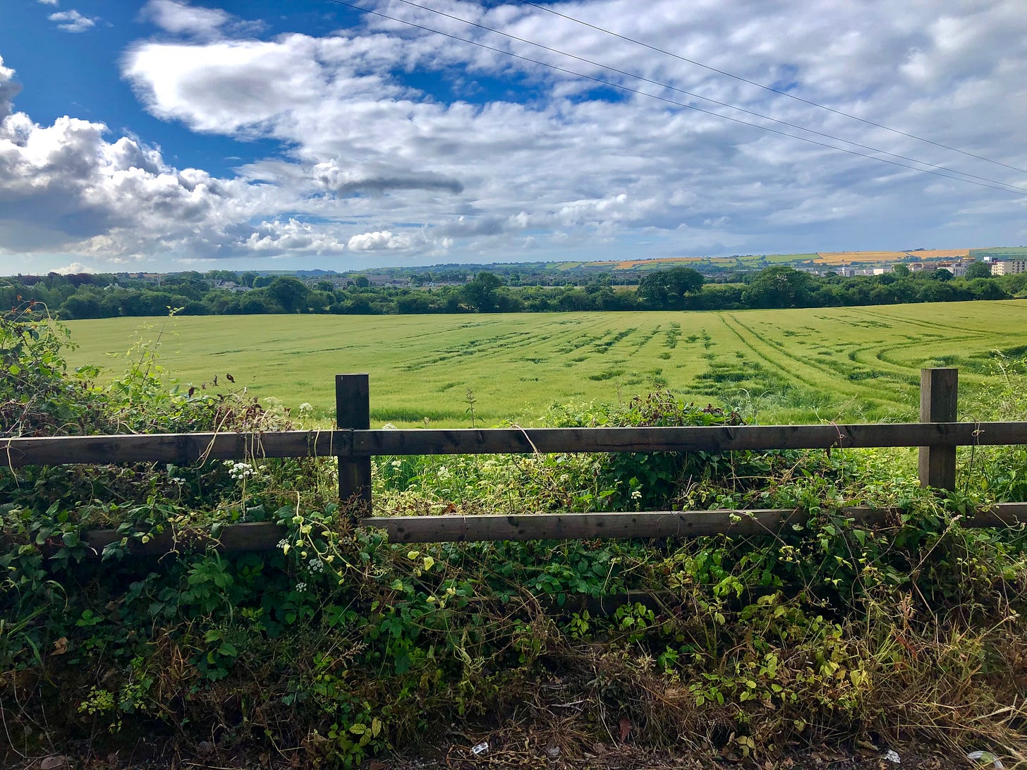 Carrigtwohill's future: thriving community or soulless sleeper town?
