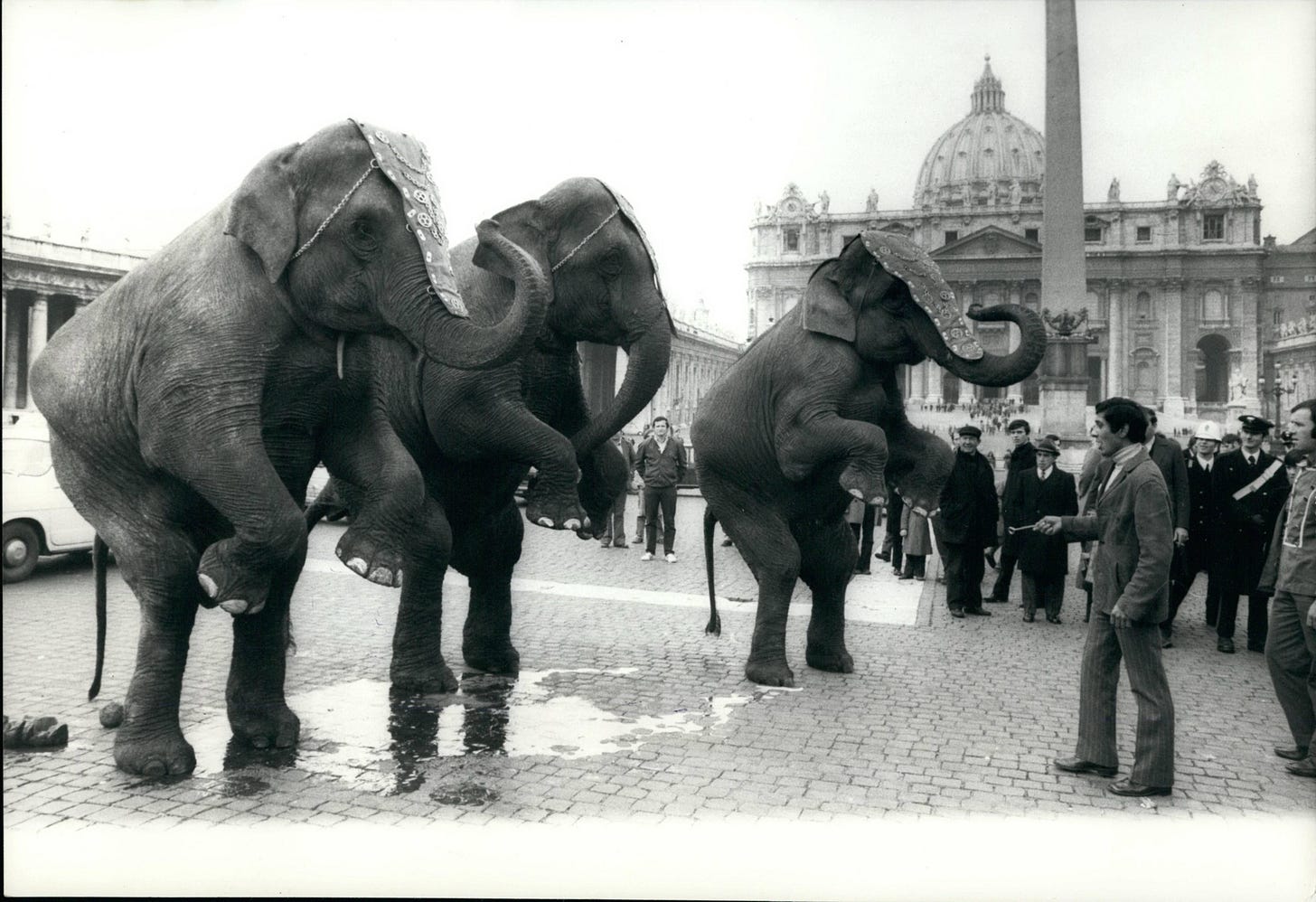 The circus priest - The Pillar