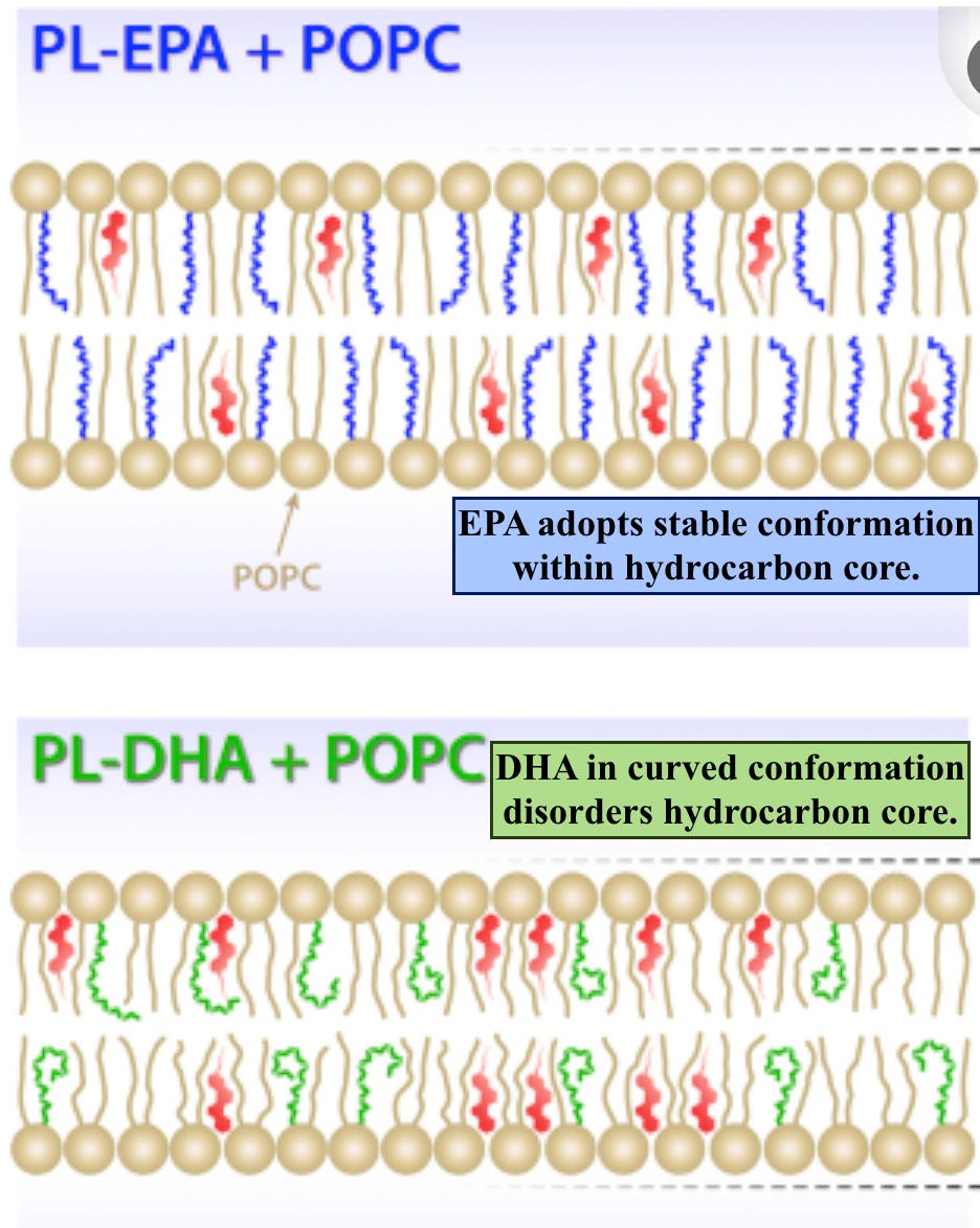 High-dose EPA for Long Covid & ME/CFS? - by LongCovidPharmD