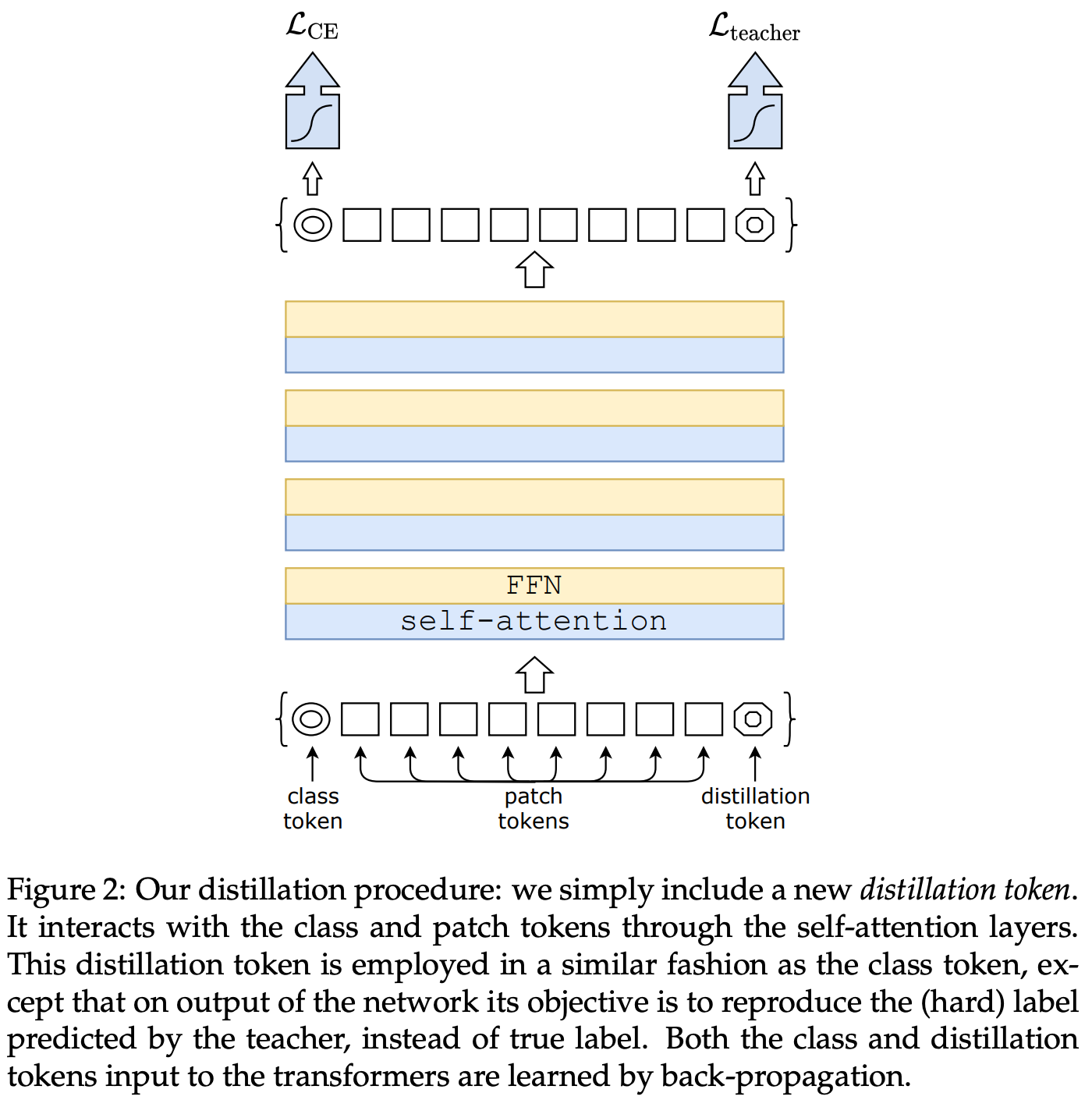 Vision Transformers - by Cameron R. Wolfe, Ph.D.