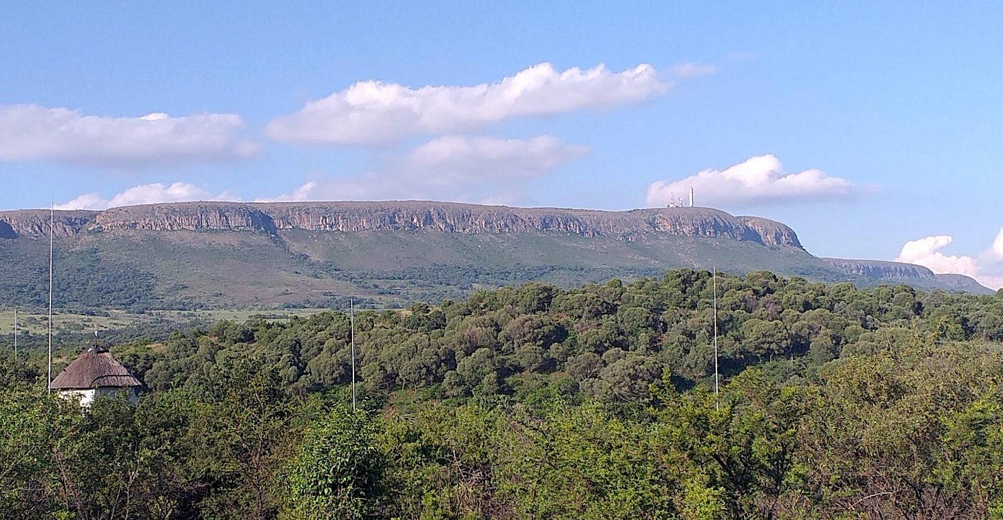 The Heritage Portal Newsletter #35 2022