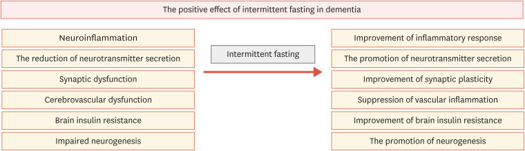 Doctor's Heart Series Chapter 6 : Science of Fasting