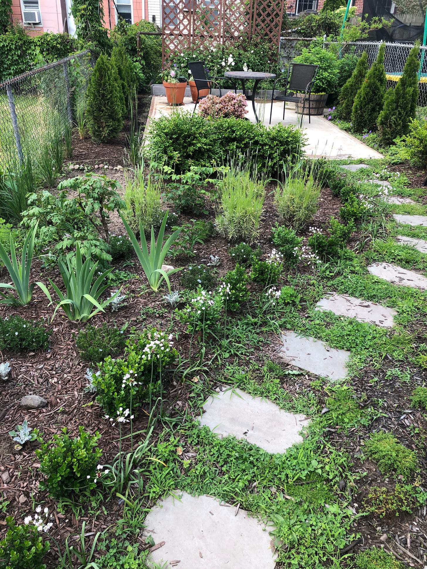 All About The Garden Path - by Steve - Chain Link Garden