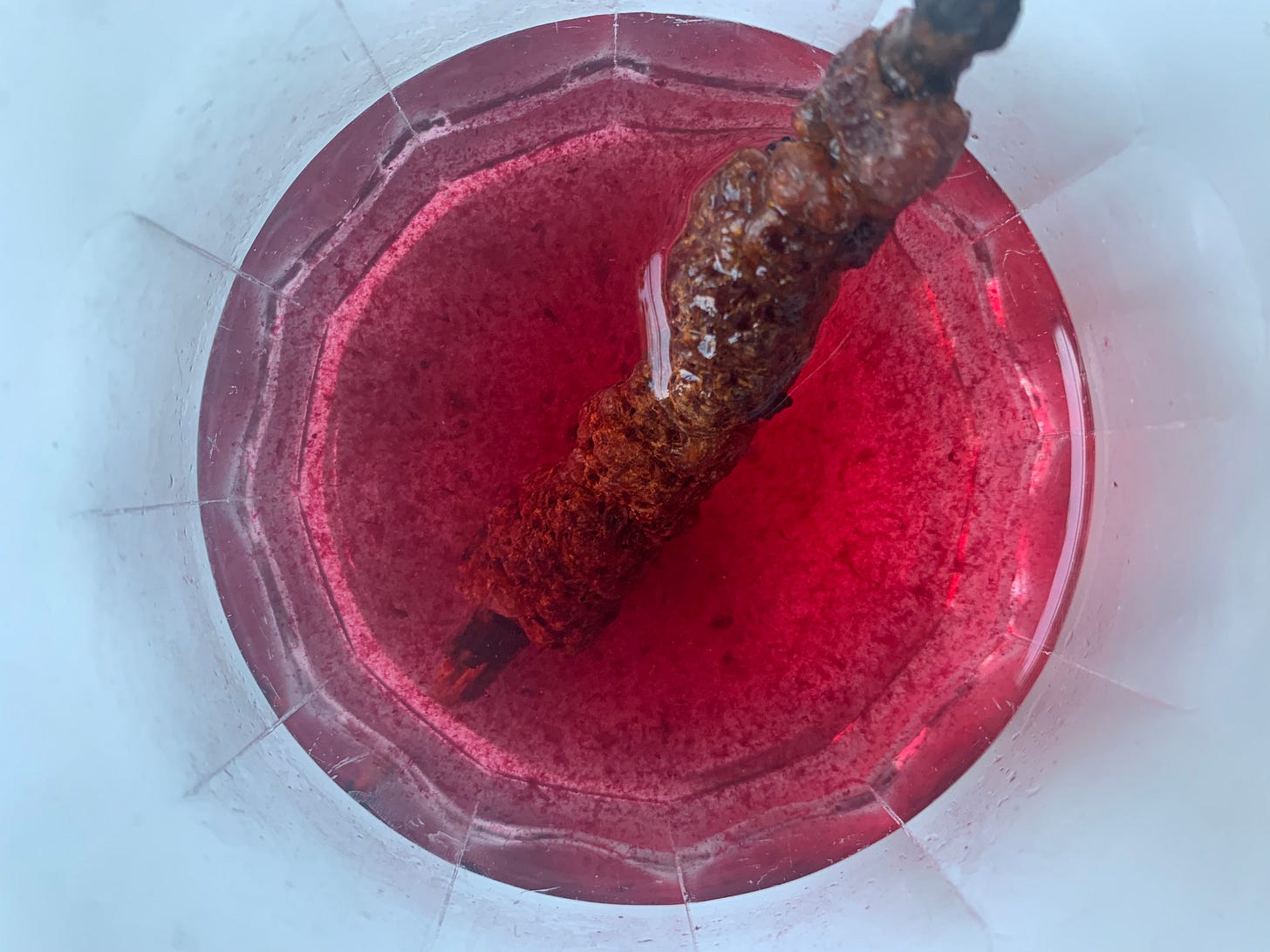 The Crimson Worm - by Toronto Ink Company