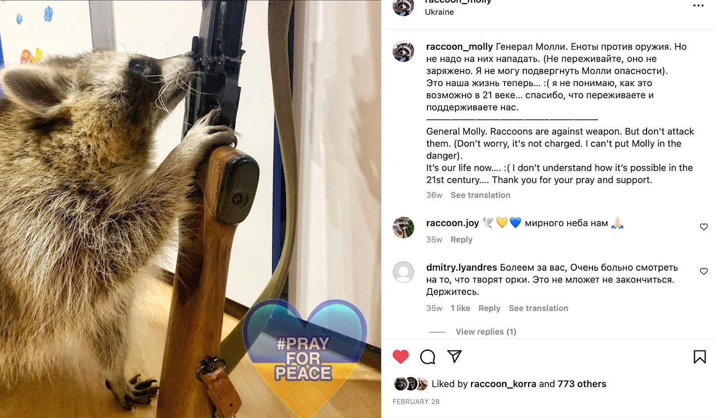 Dogs, Cats, and Raccoons of War II - Moss Planet Newsletter