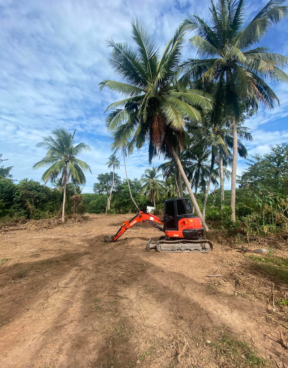 I'm Keeping Britney - by Niall Harbison - Happy Doggo