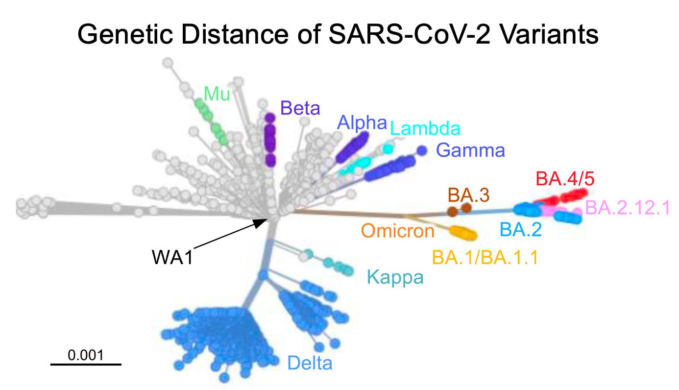 The BA.5 story - by Eric Topol - Ground Truths