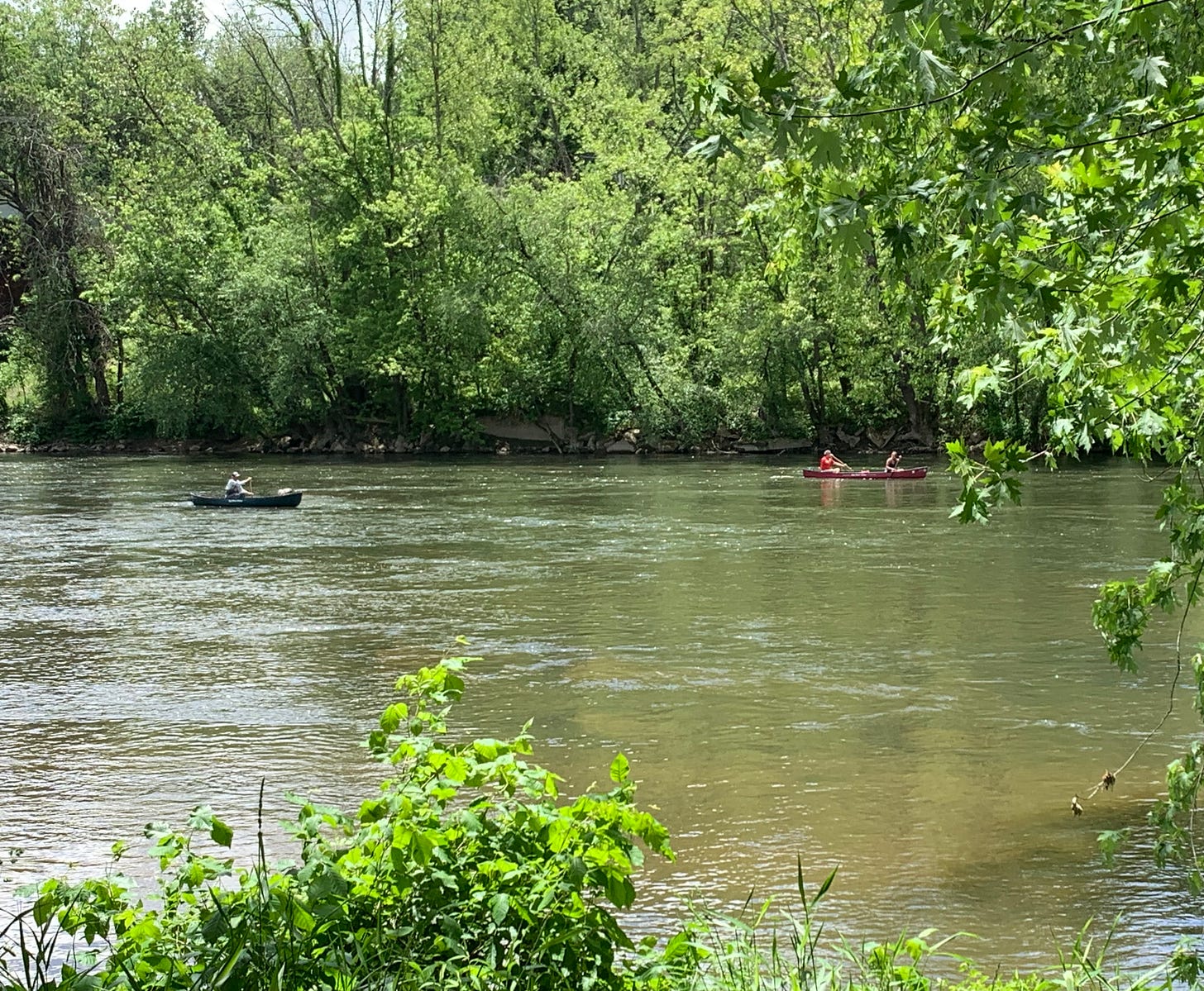 Water quality officials declare 19 miles of French Broad River in ...