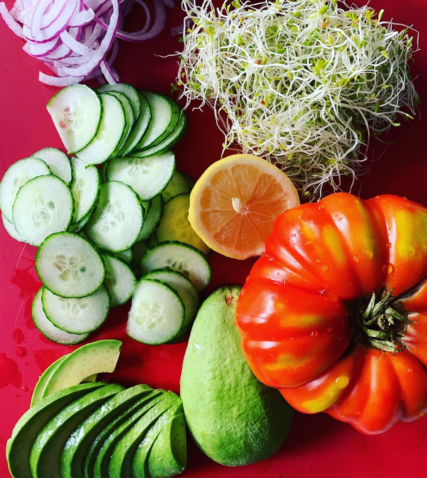 Salads Are Stories We Tell Ourselves - by emily nunn