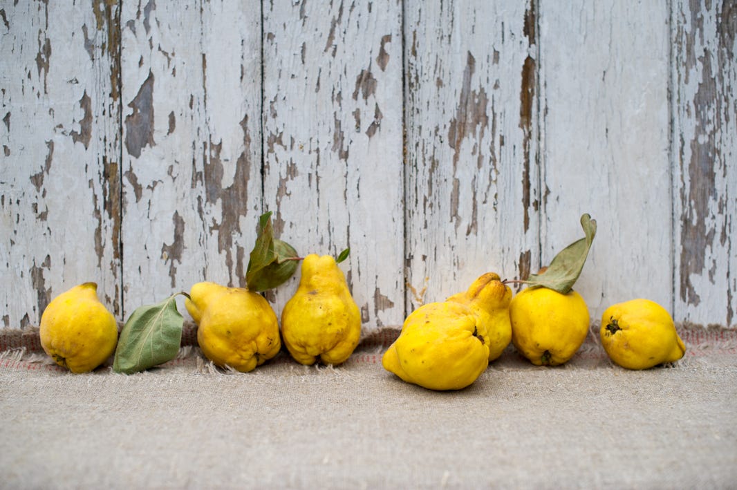 Quince cheese - Mark Diacono's Abundance
