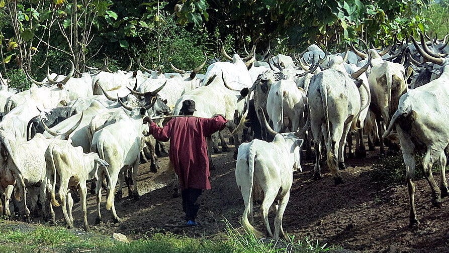 Who are the Fulani herdsmen? A Nigerian conflict explainer