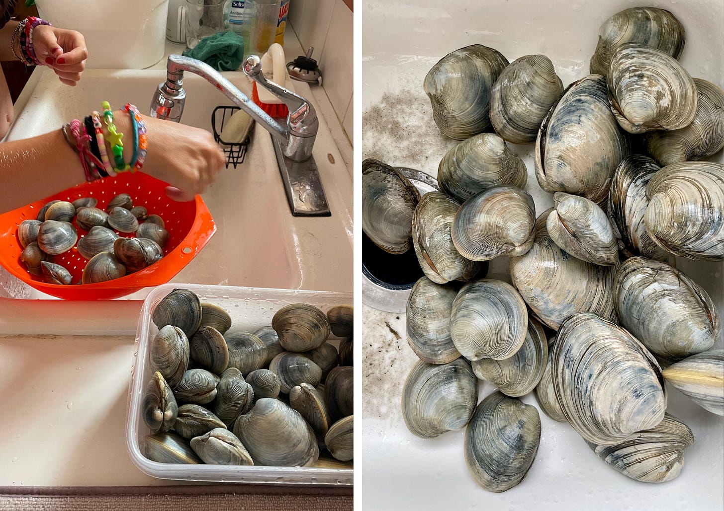 Fire Island Clam Chowder - by Susan Spungen - Susanality