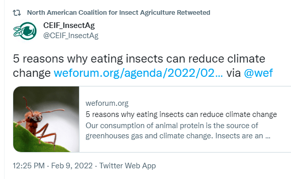 NACIA, and the Push for Global Insect Agriculture, Done as Part of the ...