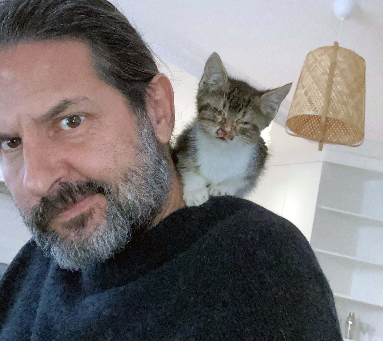 The kitten incident - by Jonathan P. Thompson